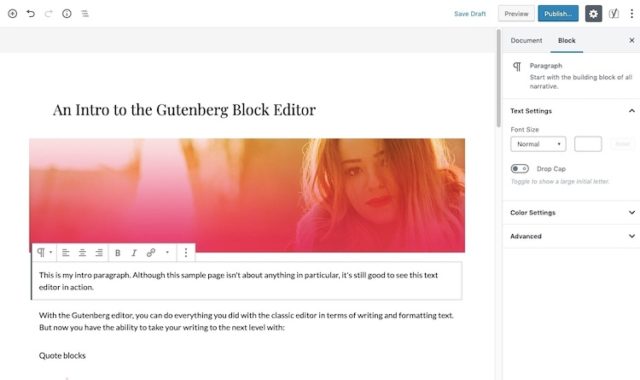 How to Use Gutenberg (WordPress Editor) | websitesetup.org