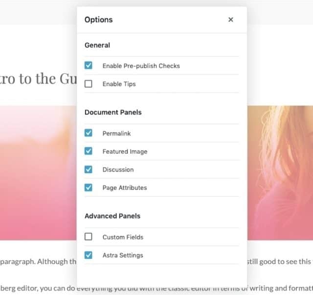 How to Use Gutenberg (WordPress Editor) | websitesetup.org