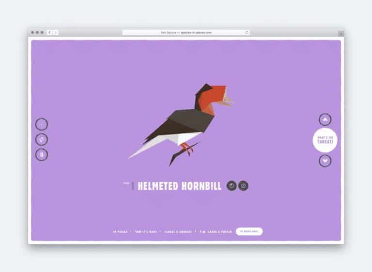 Best Website Layouts for 2020 (With Examples) | websitesetup.org