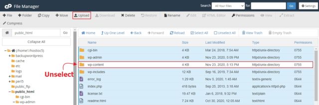 5 Ways to Fix "Error Establishing a Database Connection" in WordPress