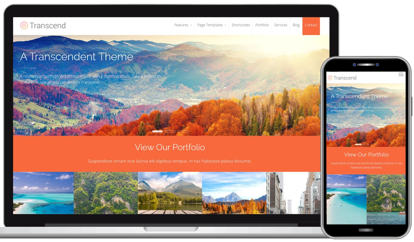 55+ Best Free WordPress Themes for 2021 | websitesetup.org
